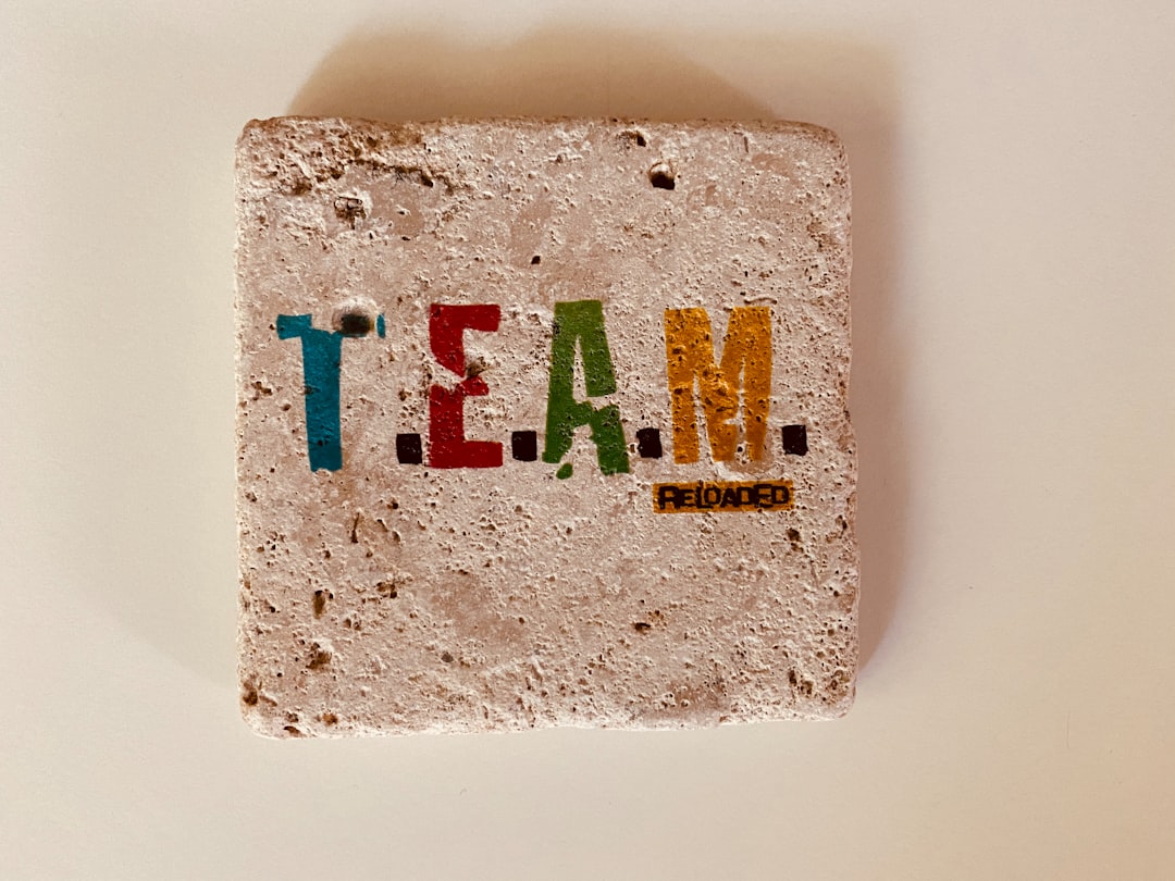 The Strategic Role: What Does a Chief of Staff Do?