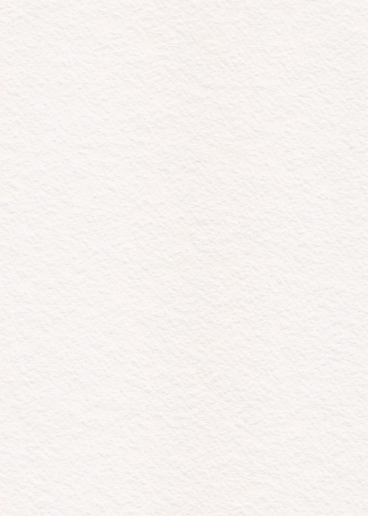 Mitigating Risk: How Industrial Shredders Protect Businesses from ...