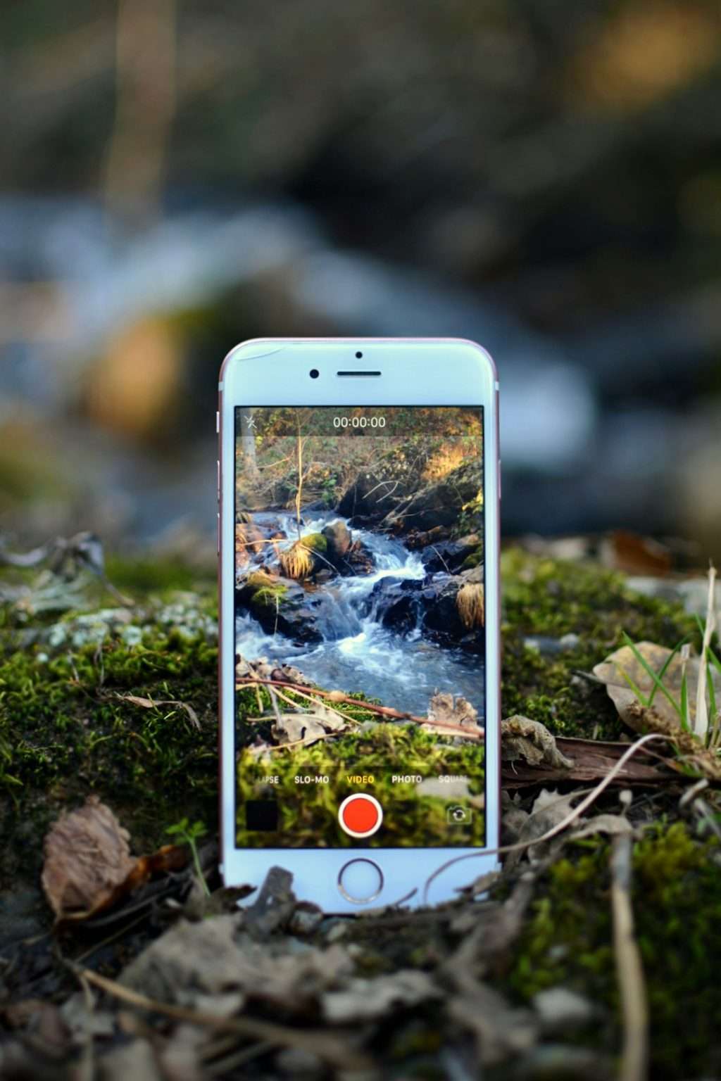 FaceTime Photos Not Saving? Step-by-Step Fix Guide